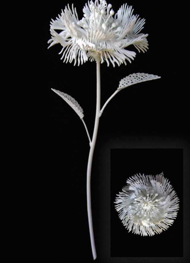 3D Flowers Printing – Fubiz Media