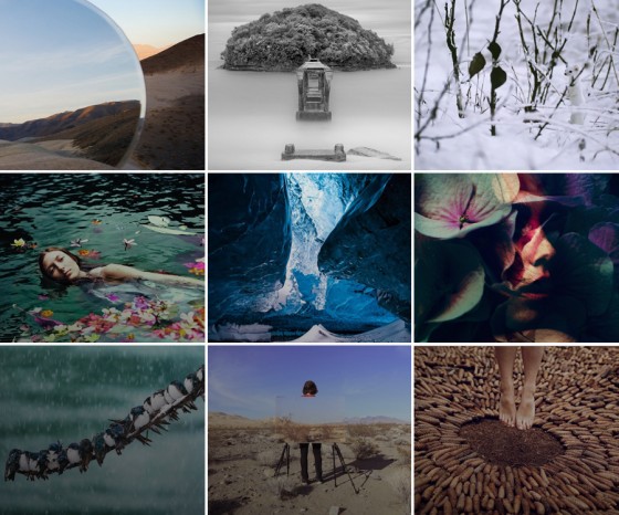 Best-of Nature Photography on Fubiz – Fubiz Media