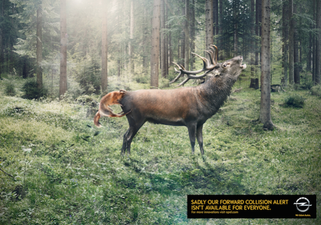 Opel – Animal Collision Campaign – Fubiz Media