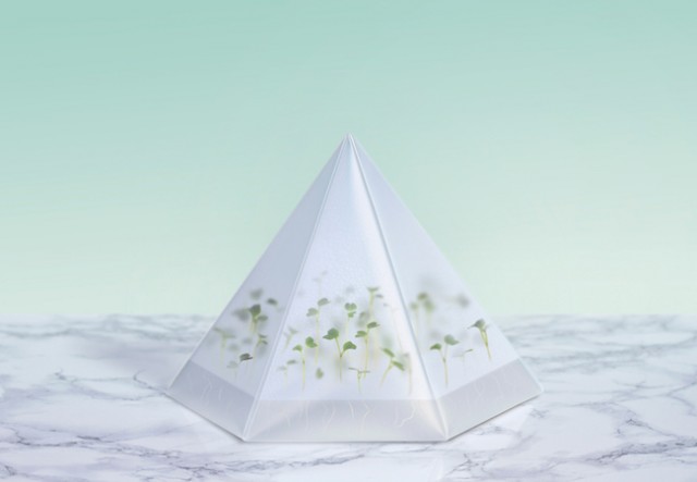 Microgarden Kit – a new way of growing greens at home – Fubiz Media
