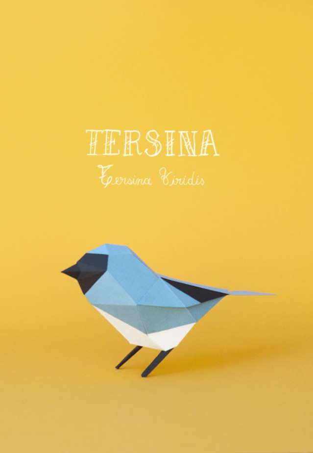 Animals Paper Art – Fubiz Media