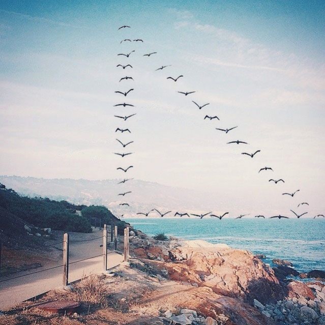 Flying Formation Collages – Fubiz Media