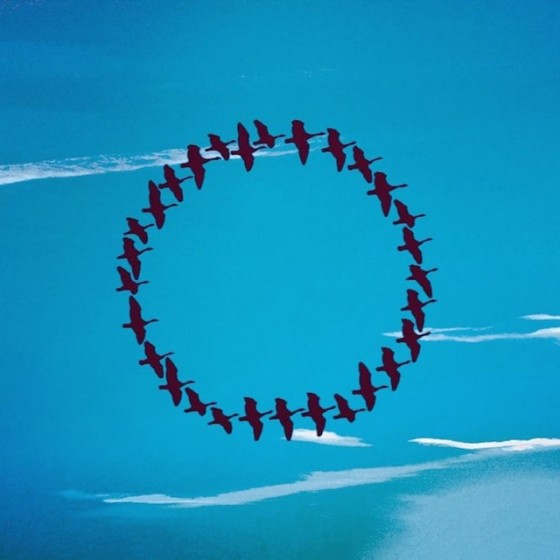Flying Formation Collages – Fubiz Media