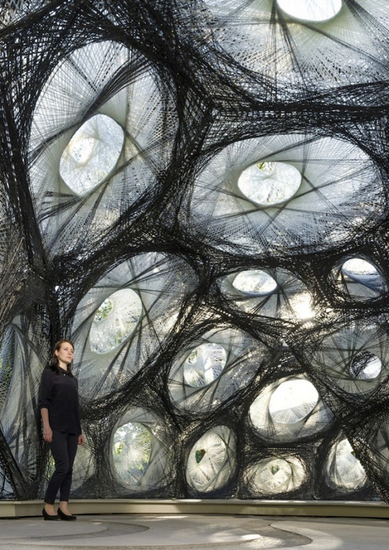 Beetle Shells Structure – Fubiz Media