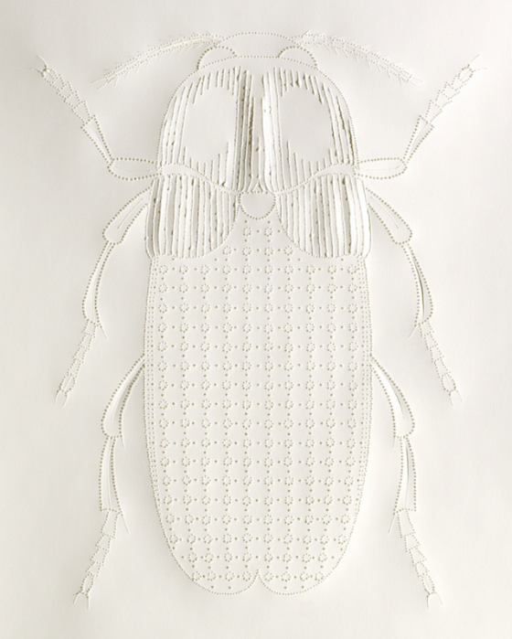 Picket Art by Pascale Malilo – Fubiz Media