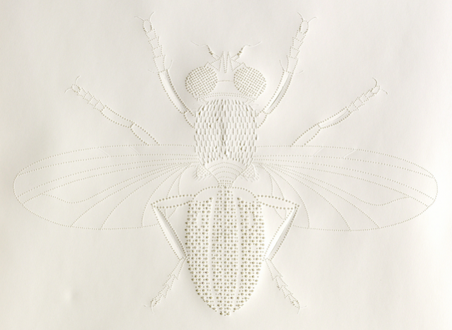 Picket Art by Pascale Malilo – Fubiz Media