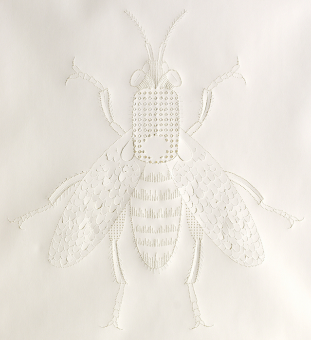 Picket Art by Pascale Malilo – Fubiz Media