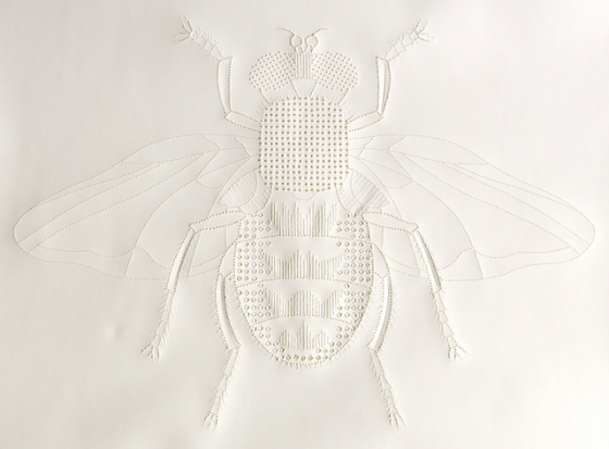 Picket Art by Pascale Malilo – Fubiz Media