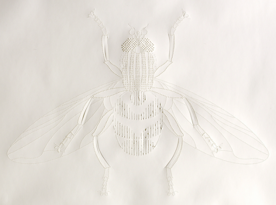 Picket Art by Pascale Malilo – Fubiz Media