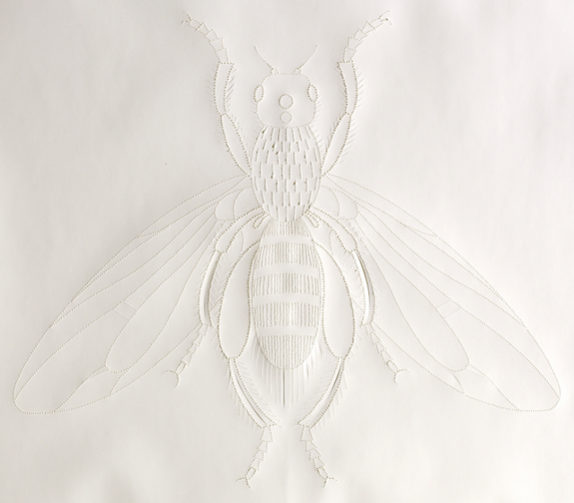 Picket Art by Pascale Malilo – Fubiz Media