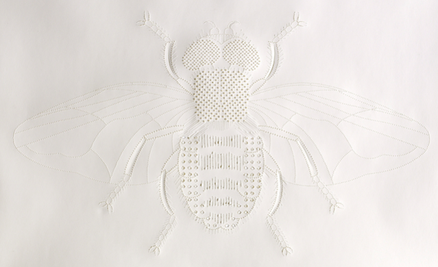 Picket Art by Pascale Malilo – Fubiz Media