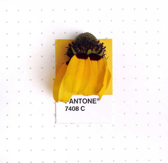 Best Of Pantone on Fubiz – Fubiz Media