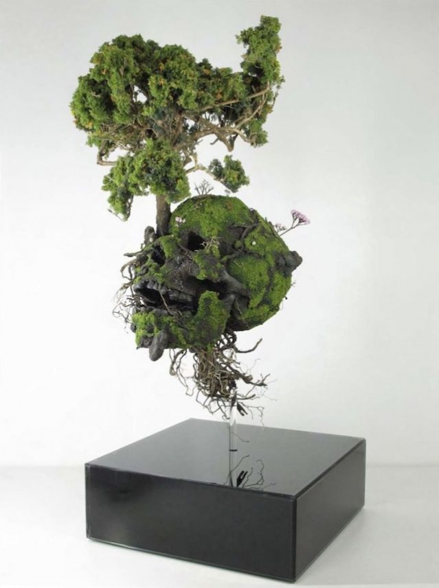 Skull Sculpture With Plants – Fubiz Media