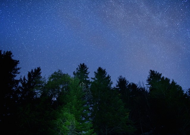 Silent Nature Landscapes – Fubiz Media
