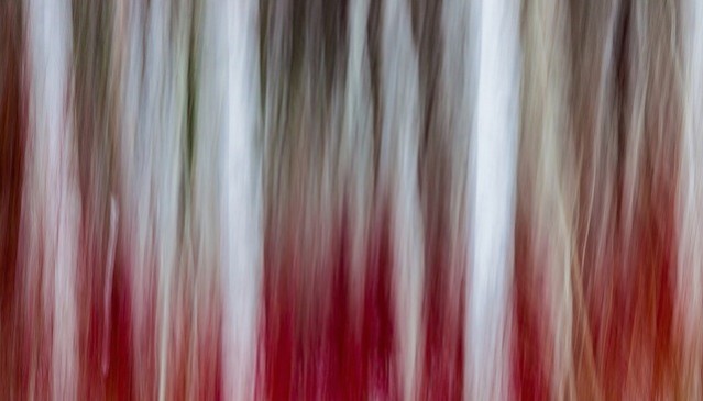 Nature Abstract Patterns – Fubiz Media