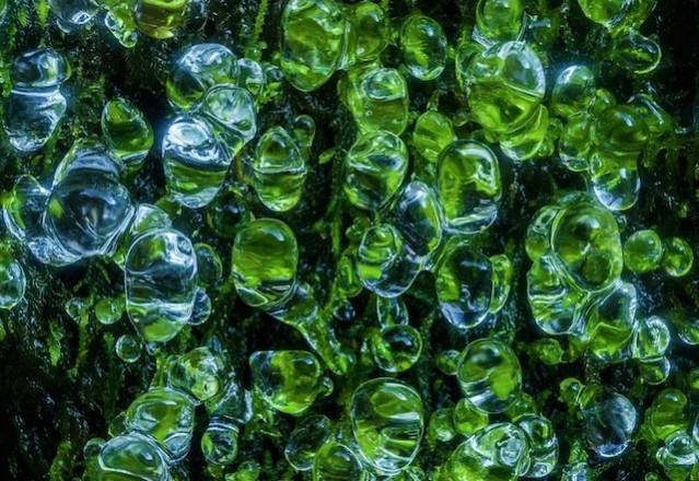 Nature Abstract Patterns – Fubiz Media