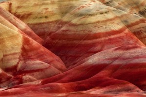 Nature Abstract Patterns – Fubiz Media