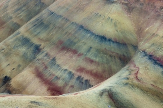 Nature Abstract Patterns – Fubiz Media