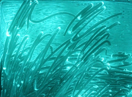 Artworks by Anna Garforth – Fubiz Media