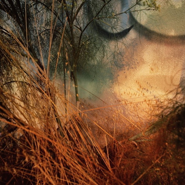 Landscapes Photo Collages – Fubiz Media