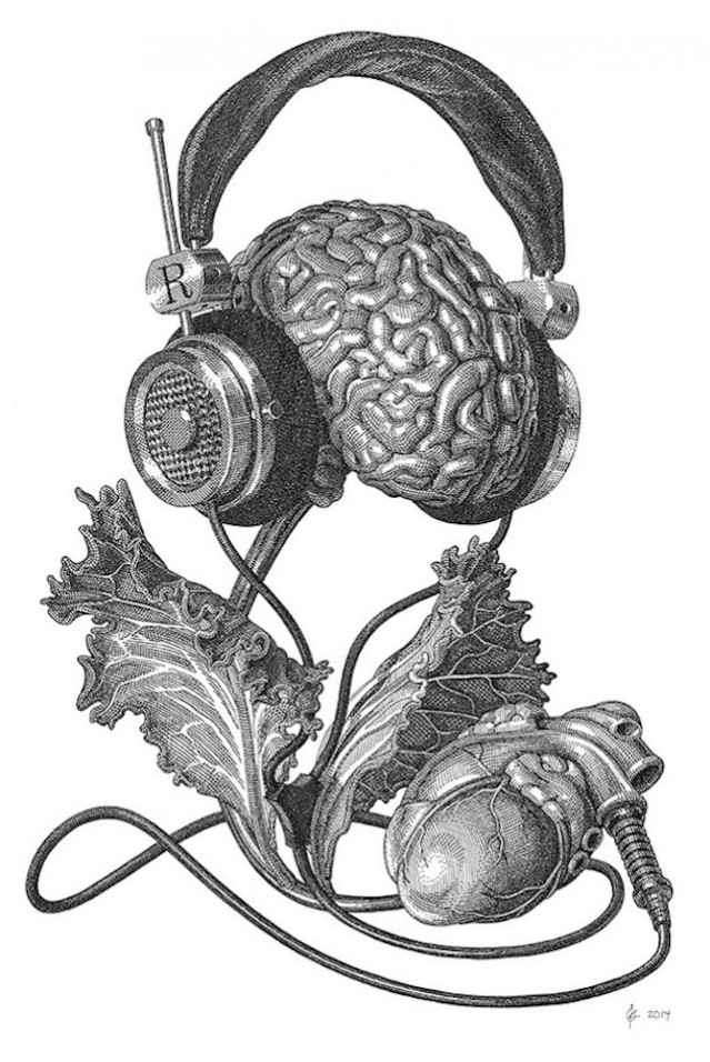 Modern Engravings by Olivia Knapp – Fubiz Media