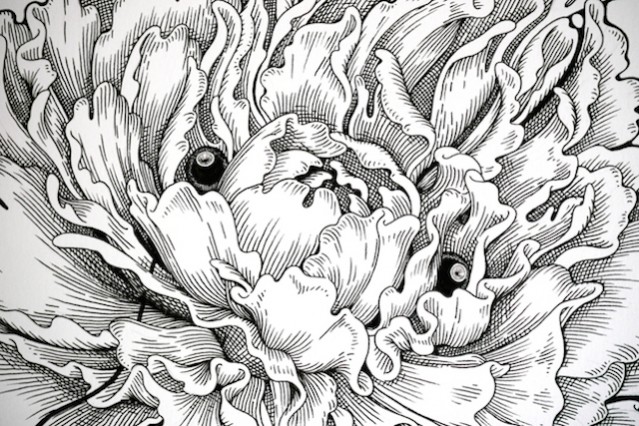 Modern Engravings by Olivia Knapp – Fubiz Media