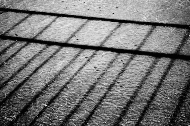 Jack Davison Photography – Fubiz Media