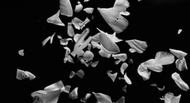 Dior Homme – Genesis – Fubiz Media