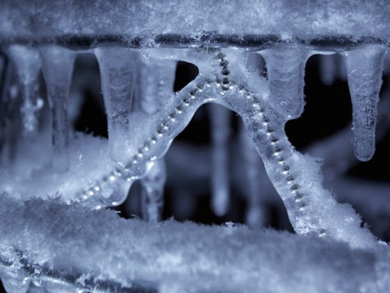 Frozen Light – Fubiz Media