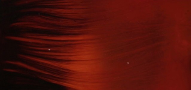 Recycling Hair to Design Beautiful Items – Fubiz Media