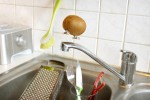 Skating Food in The Kitchen – Fubiz Media