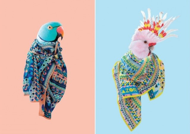 Blazon Scarf Collection With Birds Models – Fubiz Media