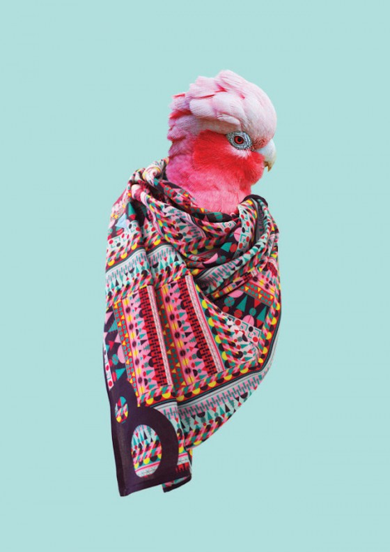Blazon Scarf Collection With Birds Models – Fubiz Media