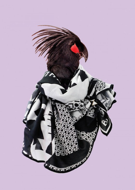 Blazon Scarf Collection With Birds Models – Fubiz Media