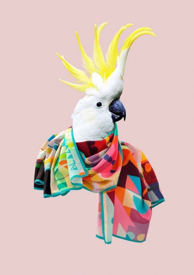 Blazon Scarf Collection With Birds Models – Fubiz Media