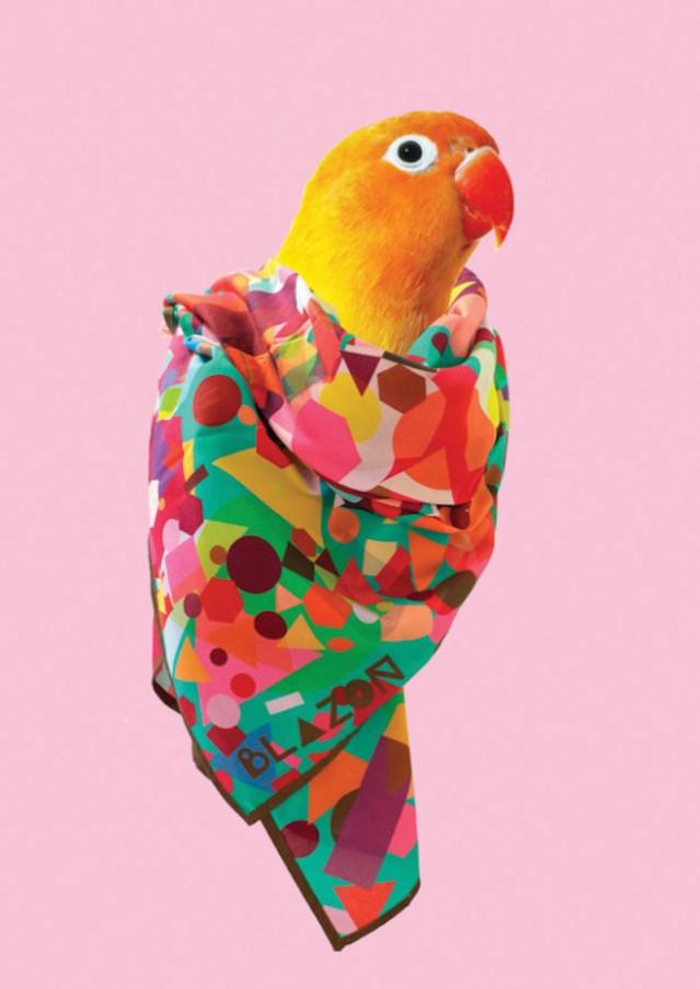 Blazon Scarf Collection With Birds Models – Fubiz Media