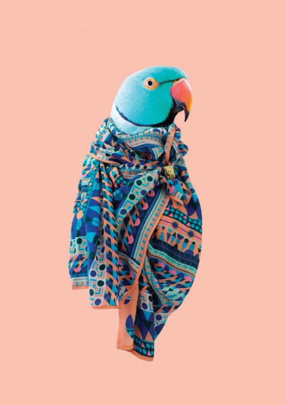 Blazon Scarf Collection With Birds Models – Fubiz Media