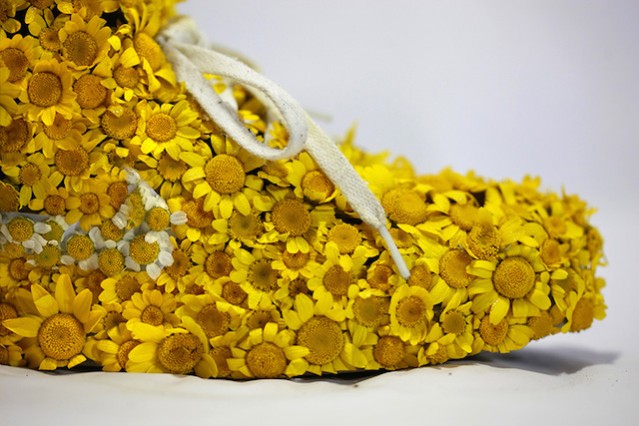Flowers Growing In Nike Sneakers – Fubiz Media