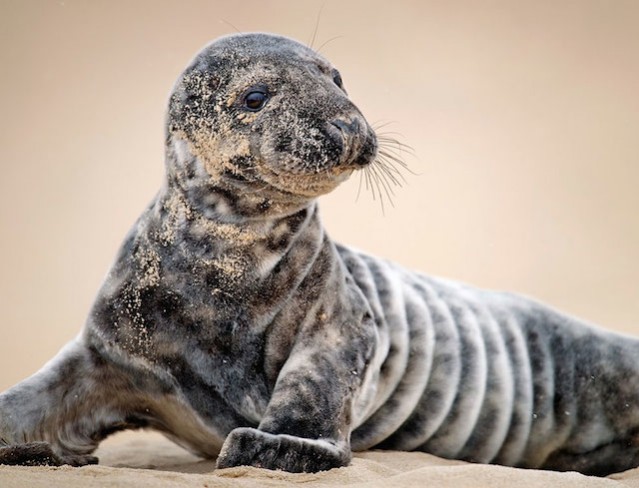 Kevin Fleming Photography – Fubiz Media