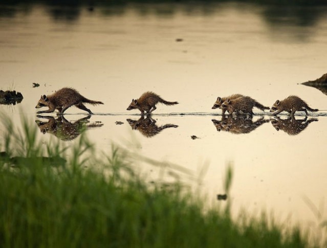 Kevin Fleming Photography – Fubiz Media