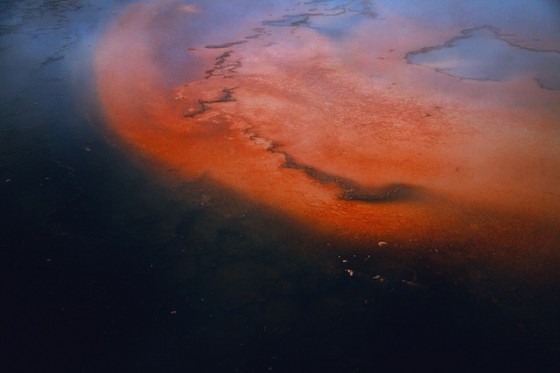 Tim Navis Photography – Fubiz Media