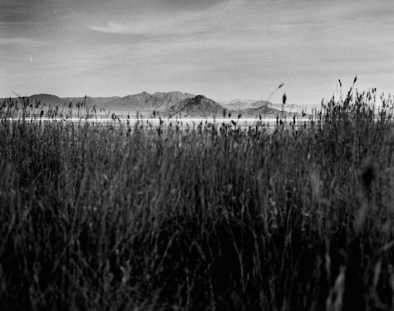 Tim Navis Photography – Fubiz Media