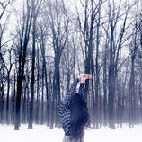 Dreamlike Photography by Sofia Ajram – Fubiz Media