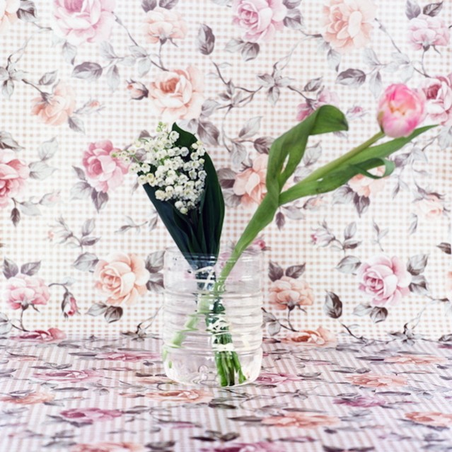Matching Still Lives and Backgrounds – Fubiz Media