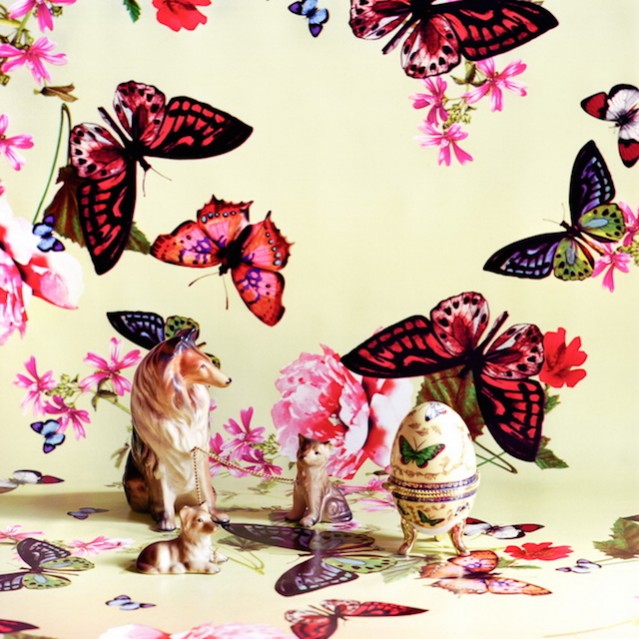 Matching Still Lives and Backgrounds – Fubiz Media