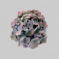 Photography by Daniel Freytag – Fubiz Media