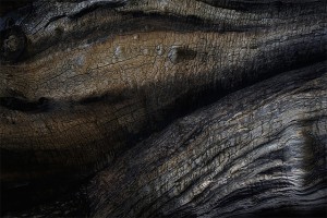 Photography by Daniel Freytag – Fubiz Media