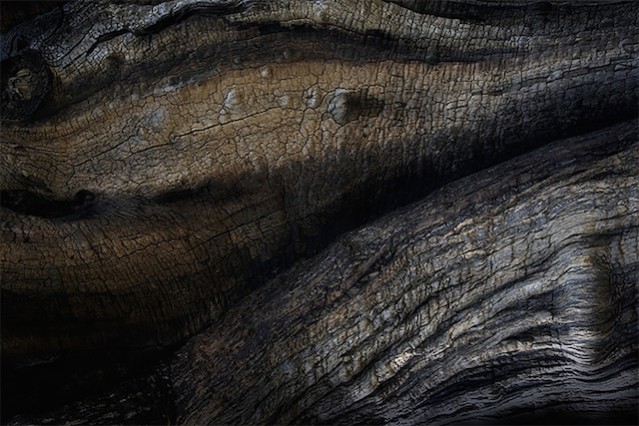 Photography by Daniel Freytag – Fubiz Media