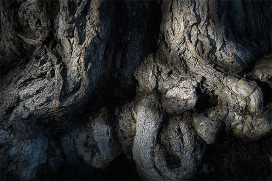 Photography by Daniel Freytag – Fubiz Media