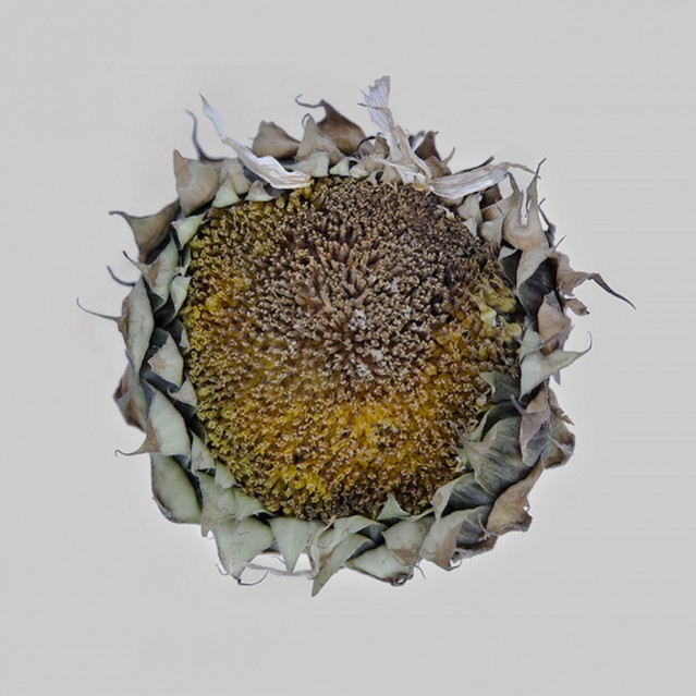 Photography by Daniel Freytag – Fubiz Media